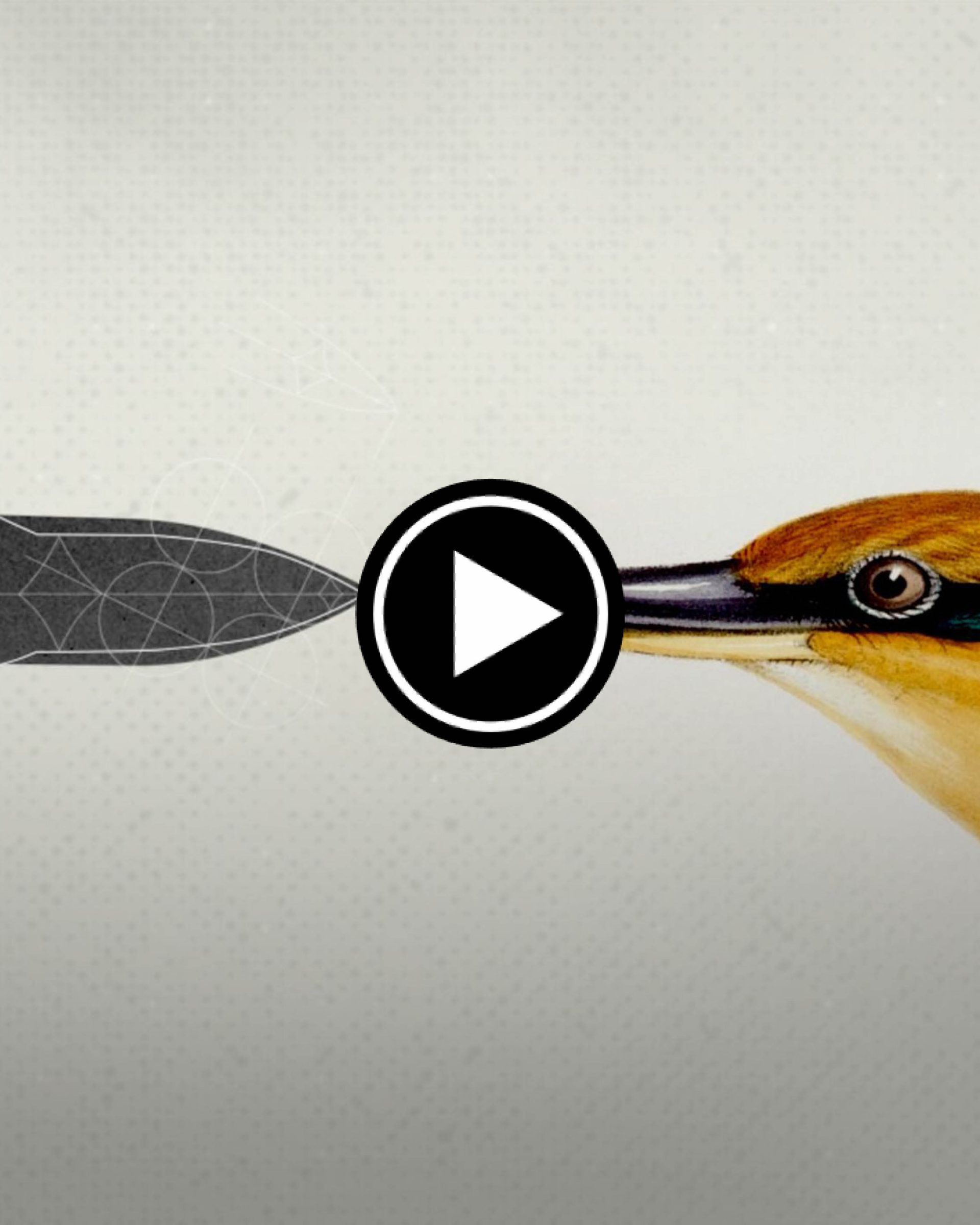 Biomimicry for Designers - Biomimicry Toolkit