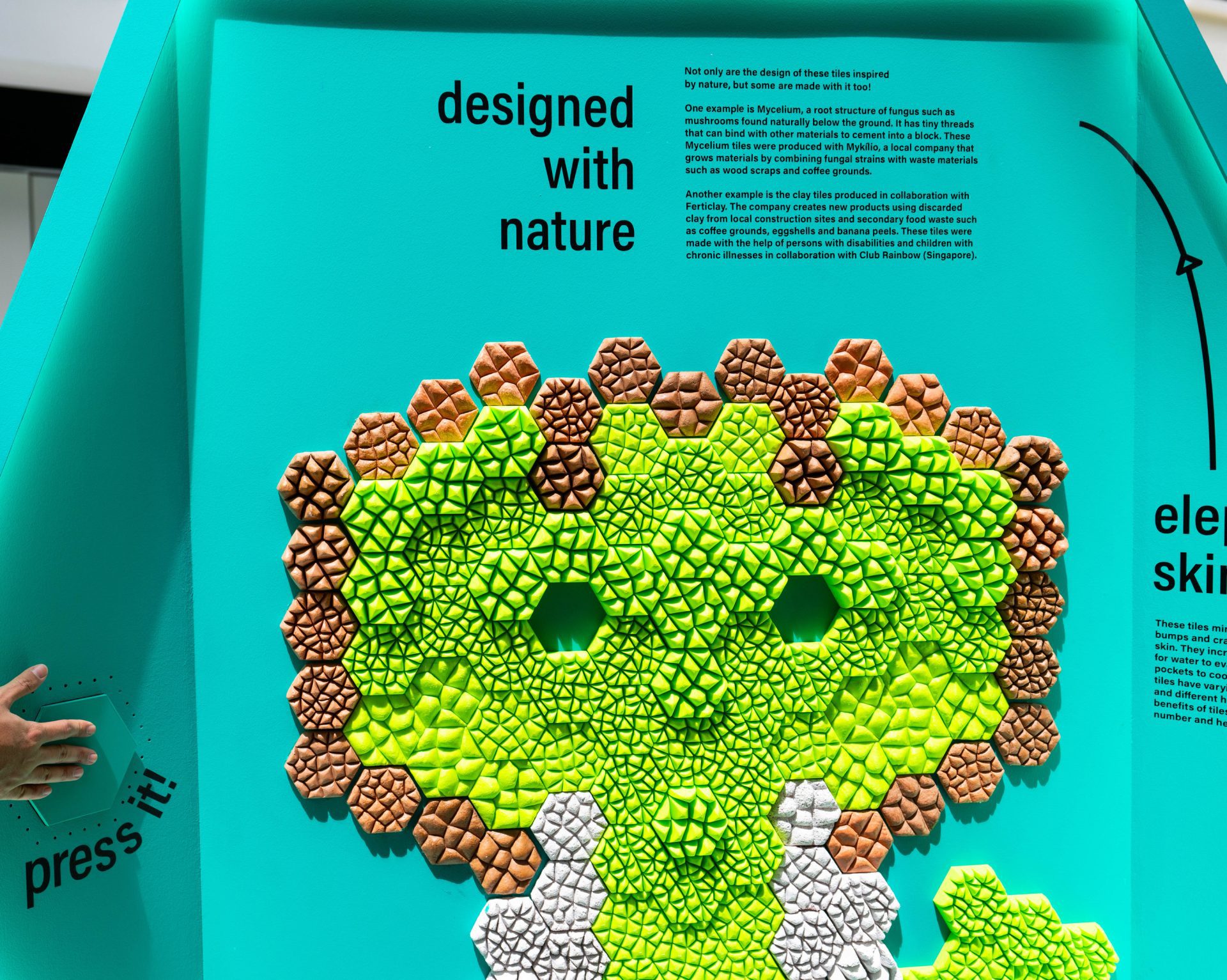 Biomimicry Exhibit @ National Design Centre Singapore - Biomimicry Toolkit